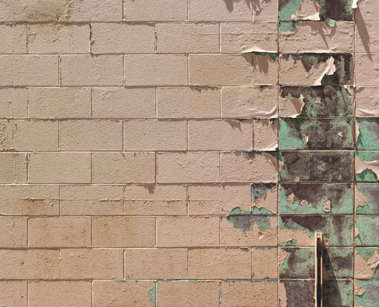 Mold Inspection, Lead Paint & Asbestos Removal: LEW Environmental