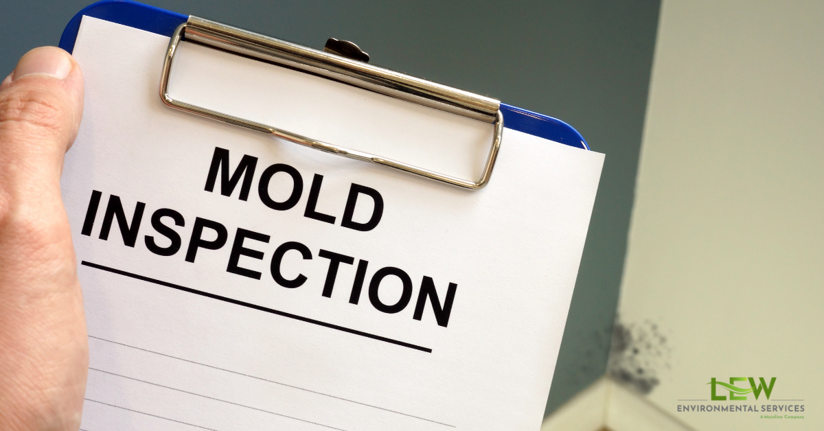 NYC Mold Complaints Are Rising: Here's What Landlords Need to Know ...
