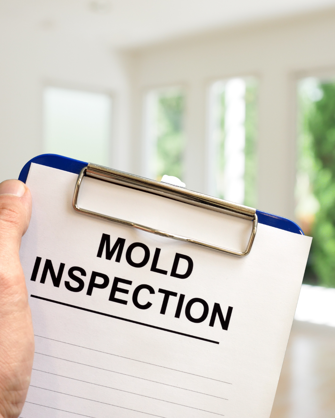 Mold Inspection NJ, Lead Paint Inspection NJ, Indoor Air Quality NJ ...